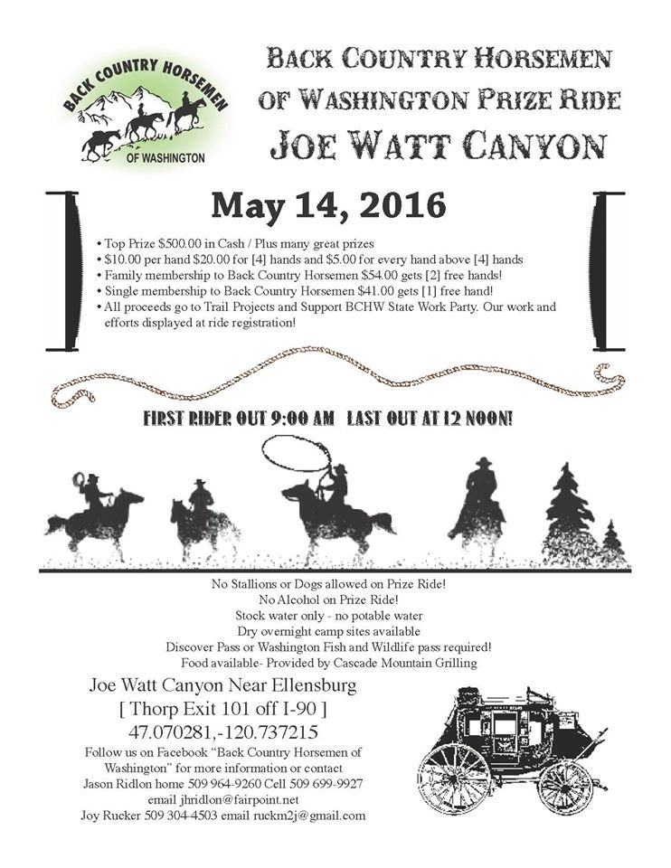 Who’s Your Riding Buddy? Choosing the Right Trail Riding Partner ...