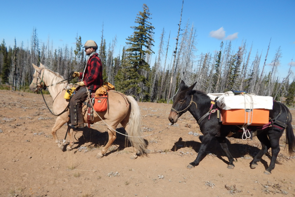 5 Tips for Fall Horse Riding - TrailMeister