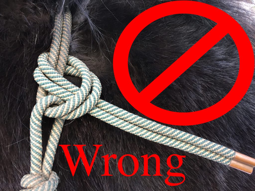 The Halter - TrailMeister