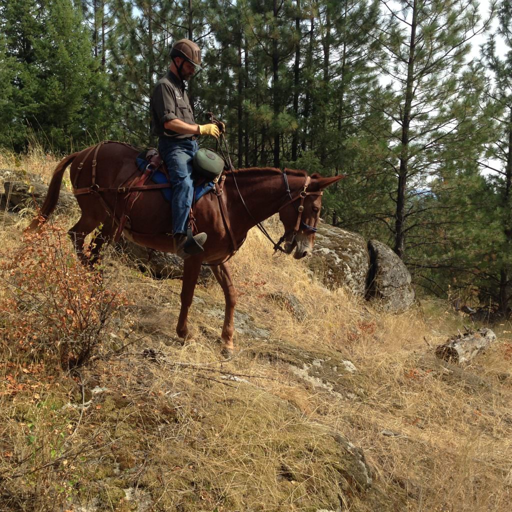 10 Tips for Happier Trail Rides - TrailMeister