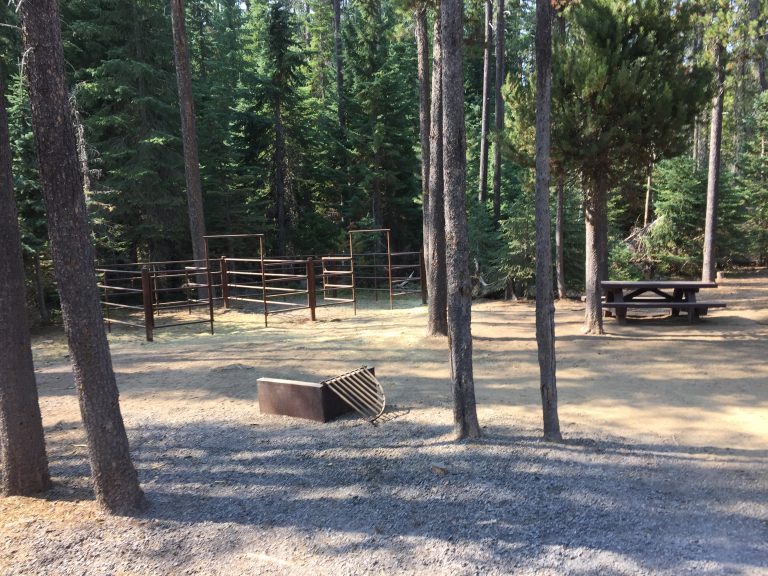 Riding Through Central Oregon - TrailMeister Mule Ridng in Oreogn