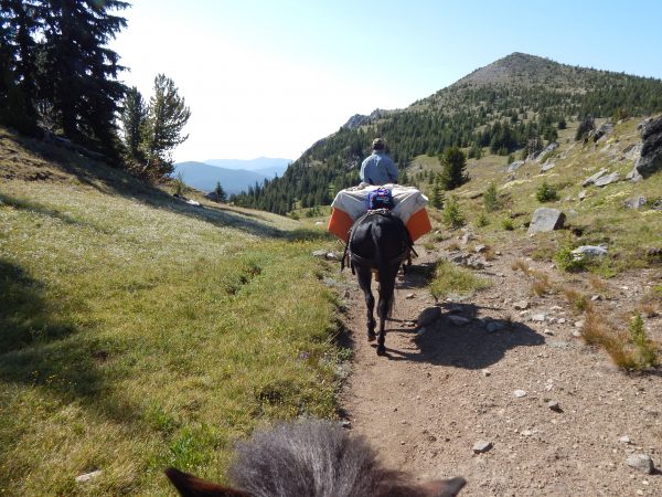 Cell Phone as a GPS - TrailMeister