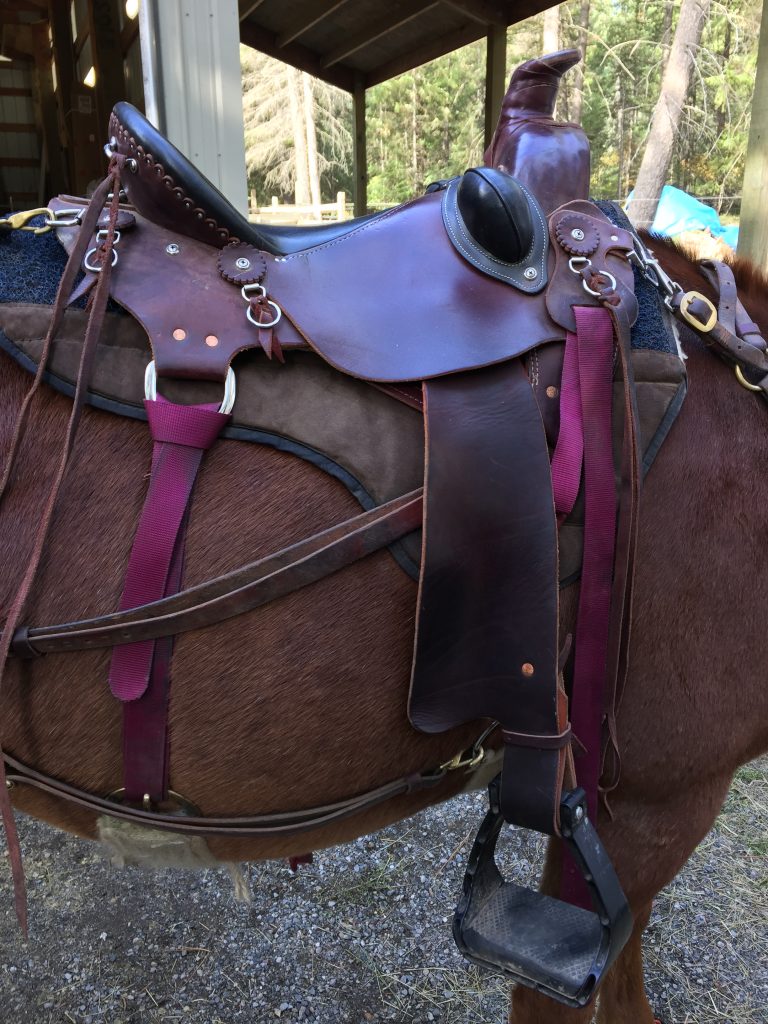 Latigo vs billets - Bench the Billets: Why Latigos are a better option ...