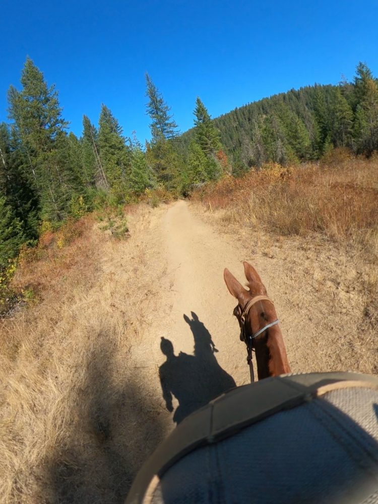 Getting Past the Spook - TrailMeister